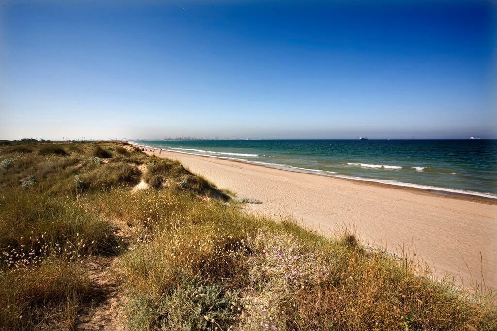Explore the diverse and captivating beaches of València.